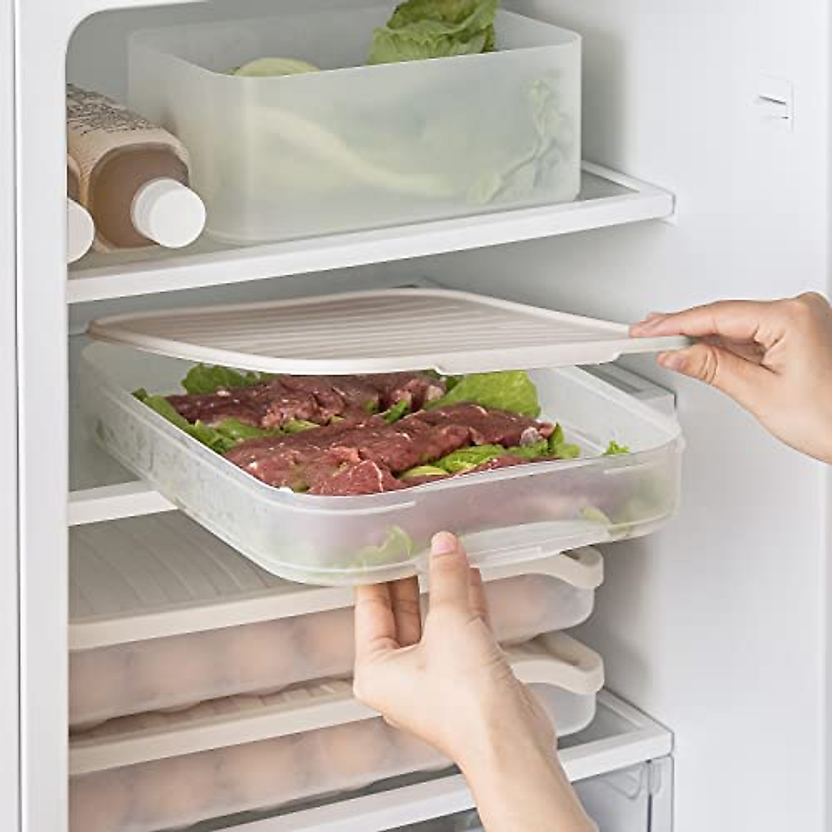 Poeland Food Storage Containers Dumpling Organizer Transparent Food Storage Box for Kitchen and Fridge