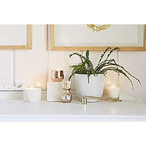 ILLUME Gardenia Soy Candle, Demi Boxed Glass, Clear, 4.8 oz.