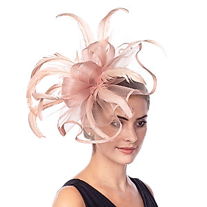 Lucky Leaf Girl Lady Hat Headwear Organza Church Feather Clip Fascinators Hat Wedding Party Kentucky Derby Cap for Women(F-5-Dark Pink)