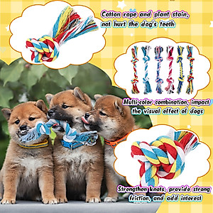 RoundFunny 100 Pieces Knot Rope Dog Toys Multi Color Puppy Knot Chew Toy Cotton Puppy Toys Dental Dog Teething Toys 2 Knot Dog Tug for Small and Medium Dogs Aggressive Chewers Supplies