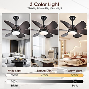 MADSHNE Ceiling Fans with Lights and Remote,36" Black Outdoor Ceiling Fans with 6 Reversible Wood Blades,Small Modern Ceiling Fans for Patio Kitchen Bedroom