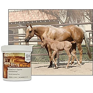 UltraCruz Ichthammol Ointment for Horses, 16 oz