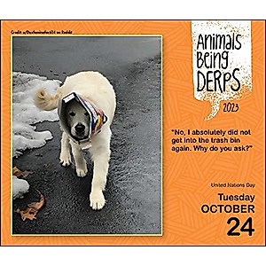 Animals Being Derps 2023 Day-to-Day Calendar: The Internet's Funniest Animals at Their Goofiest