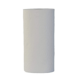 HDX Paper Towels (12-Roll)