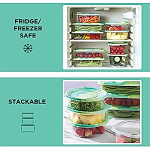COOK WITH COLOR Containers with Lids - Plastic Food Storage Containers - Meal Prep Containers -10 Lunch Containers with 10 Lids, Airtight Reusable Containers -33.8 Oz / 1 L (Round Green Splashes)