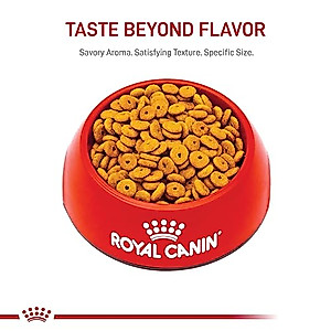 Royal Canin Feline Care Nutrition Weight Care Adult Dry Cat Food, 3 Lb Bag