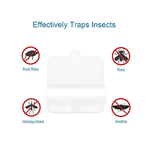 36 Pcs Flea Trap Refill Glue Boards for Terro T230 T231 Indoor Flea Light Traps, 6" Replacement Sticky Pads Fits Square Flea Bed Bug Traps for Inside Your Home