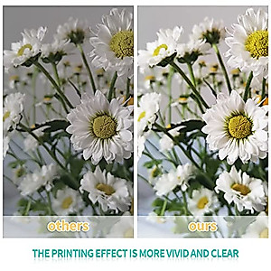 CAIRE C405 Toner Remanufactured Toner Cartridges Replacement for Xerox C400 C405 Versalink C400DN C405DN C405N Printer(1 Black 106R03512,1 Yellow 106R03513,1 Cyan 106R03514,1 Magenta 106R03515)