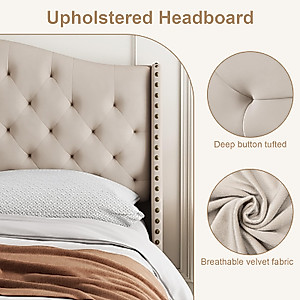 Amyove Tufted Upholstered Platform King Bed Frame with Headboard and Footboard, Velvet Platform Bed Raised Wing Back Headboard (Beige, King)