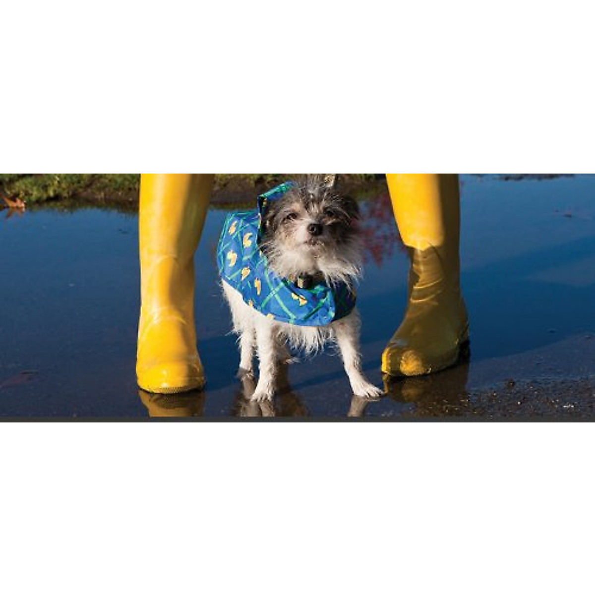 RC Pet Products Packable Dog Rain Poncho, Rubber Ducky, Small