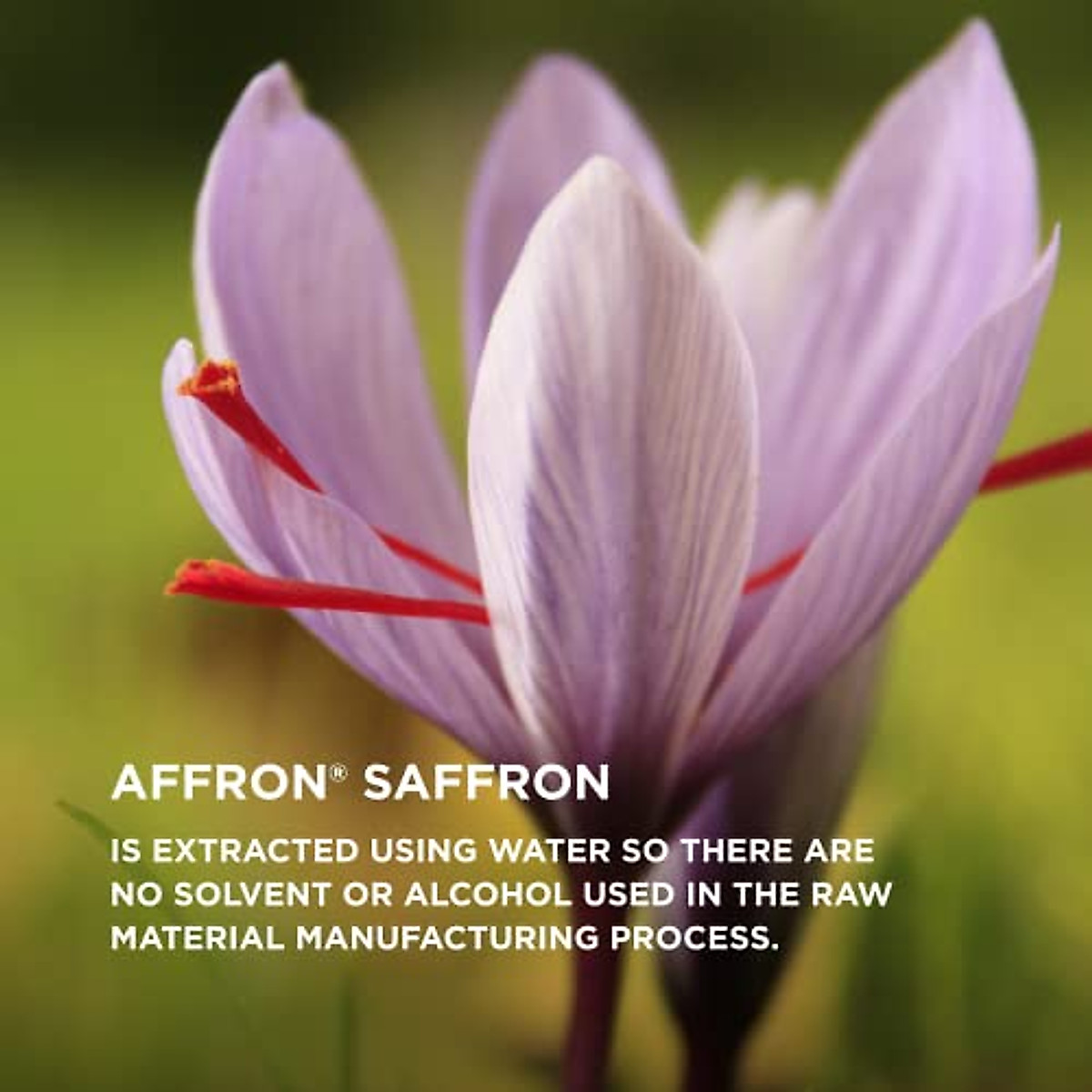 Solgar Menopause Relief - 30 Tablets - Helps Relieve Hot Flashes, Exhaustion, Irritability, Sleep Disturbances & More - Promotes a Positive Mood - Non-GMO, Gluten Free, Vegan - 30 Servings