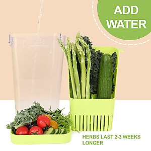 LUVCOSY Fresh Herb Keeper for Refrigerator, Clear BPA-Free Herb Saver, Storage Container for Cilantro, Parsley, Thyme, Mint & Asparagus, Preserver Keeps Fresh Herbs for 3 Times Longer, Green & Orange