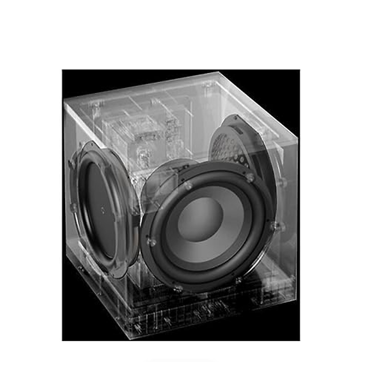 Definitive Technology Descend DN12 12" Subwoofer (2021 Model) - Optimized for Movies and Music, New 3XR Architecture, 1500W Peak Class H Amplifier & (2) Pressure-Coupled 12" Bass Radiators, Black