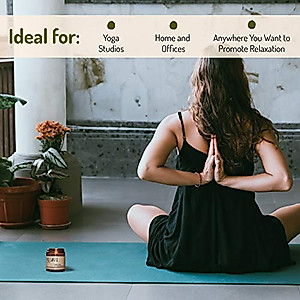 Maison Palo Santo Raw Genuine Palo Santo Essential Oil from Ecuador Aromatherapy Candle 9oz Handcrafted in USA with Natural Soy Wax for Purification & Cleansing Free Palo Santo Stick Included