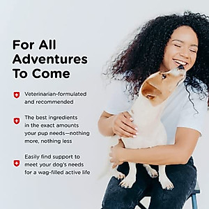 Nutri-Vet Pre and Probiotic Soft Chews for Dogs - Digestive Health Support Dog Probiotics - Tasty Liver and Cheese Alternative to Dog Probiotic Powder - 120 Soft Chews