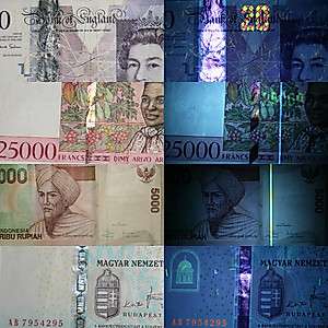 PeeDar 2.0 UV Pet Urine Detector Black Light Flashlight + Cat & Dog Behaviorist Book + 3 AAAs. Ultra Bright Optimal 380-385NM LEDs Find Invisible Stains Instantly! Rid Cat, Dog Pee Issues Forever.