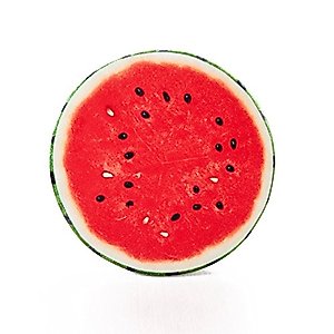HYSEAS Round Throw Pillows 14 Inch Watermelon, 3D Print Decorative Plush Funny Fruit Stuffed Cushions Toy Seat Pad for Couch, Chair, Floor, Sofa