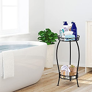 Auledio Plant Stand Rack 2 Tier Indoor Outdoor Multiple Holder Shelf,Black