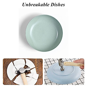 WANBY Plastic Plates 10 Pcs Lightweight 5.6" Plastic Plates Unbreakable Dinner Dishes Plates Set Dishwasher & Microwave Safe