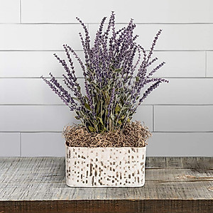 FloraCraft Spanish Moss 8 Ounce (4L) Natural