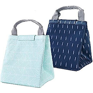2 Pack Insulated Lunch Bags, Work Travel Picnic School Bento Lunch Bag - Durable & Waterproof Lunch Organizer Lunch Tote for Men, Women and Kids