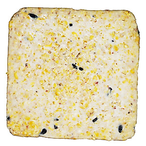 Suet Cake 12 Pack | Case of 12 Suet Cakes for Wild Birds (Woodpecker High Energy)