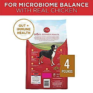 Purina ONE Chicken and Rice Formula Dry Dog Food - (Pack of 4) 4 lb. Bags