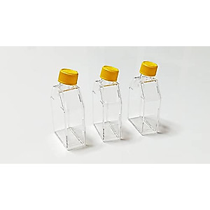 Cell Culture Flasks (T25 Flasks (Case of 100))