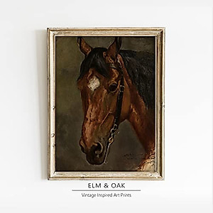 Equestrian Wall Decor - Horse Art Print for Home Decor - Antique Horse Riding Wall Artwork Decoration Farmhouse Country Wall Art for Home Decor - 11x14 inches, Ready to Frame (Stallion Portrait)