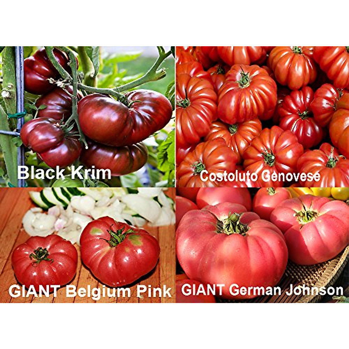 This is A Mix!!! 30+ Rainbow Deluxe Tomato Seeds Mix 16 Varieties, Heirloom Non-GMO, Indeterminate, Old German, Chocolate Stripes, Ukrainian Purple, Amish Paste USA