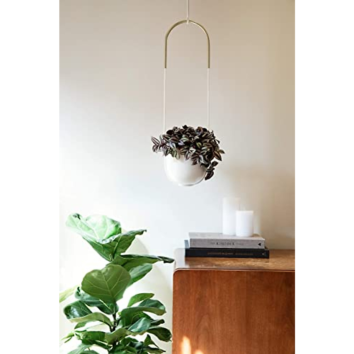 Umbra Bolo Hanging Planter