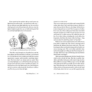 How to Read a Tree: Clues and Patterns from Bark to Leaves (Natural Navigation)