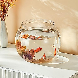 Newpol 0.8 Gallon Plastic Aquarium Fish Tank, Small Fish Tank Starter Kits, Fish Bowls