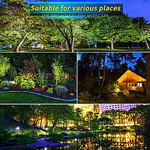 LEACOCO LED Landscape Lights,5W 120V AC Outdoor Pathway Garden Yard Spotlight,IP65 Waterproof Garden Flood Light,Outdoor Spotlight with Stake,UL Cord 5-ft with Plug (Pack of 1, Daylight White)