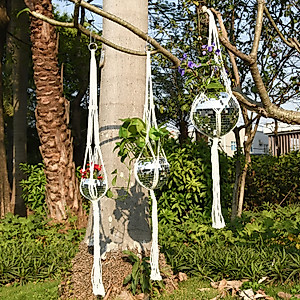 FGBNM 1/2/3pcs Disco Ball Planter, 4"/6"/8" Planter, Silver/Rose Gold Planter, Disco Ball Plant Hanger with Hanging Rope, Hanging Chain, Hook, Circle and Extra Mirror Pieces (6" Silver, 1pcs)