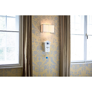 KOOKOO Birdhouse White, modern design cuckoo clock with 12 natural bird voices or cuckoo call