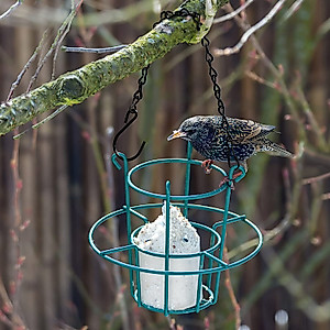 6 Pack 9.5 Inch Hanging Chain for Bird Feeders, Planters, Lanterns, Wind Chimes, Billboards, Chalkboards and Ornaments (Black)