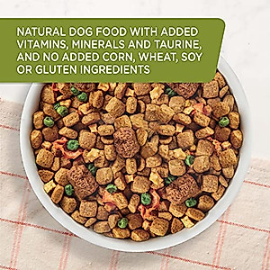 Rachael Ray Nutrish Dish Premium Dry Dog Food, Chicken & Brown Rice Recipe with Veggies & Fruit, 11.5 Pounds