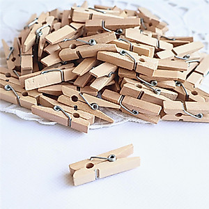Mini Wooden Clothes Pins, 100pcs 1Inch (2.5cm) Small Wooden Chip Clips for Bag Clips Clothespin Clothes Pin Photo Pins (Wooden)