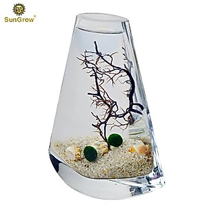 SunGrow Betta Fish, African Frog & Hermit Crab Aquarium Sea Fan, Tank Decoration, Sea Willow Aquarium Décor