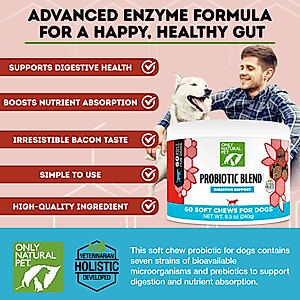 Only Natural Pet Probiotic Dog and Cat Supplement - Digestive & Gut Health Enzyme Formula, Puppy & Canine Digestive Chews, Best for Stomach Relief & Gas Aid - Soft Chews, 60 Count.