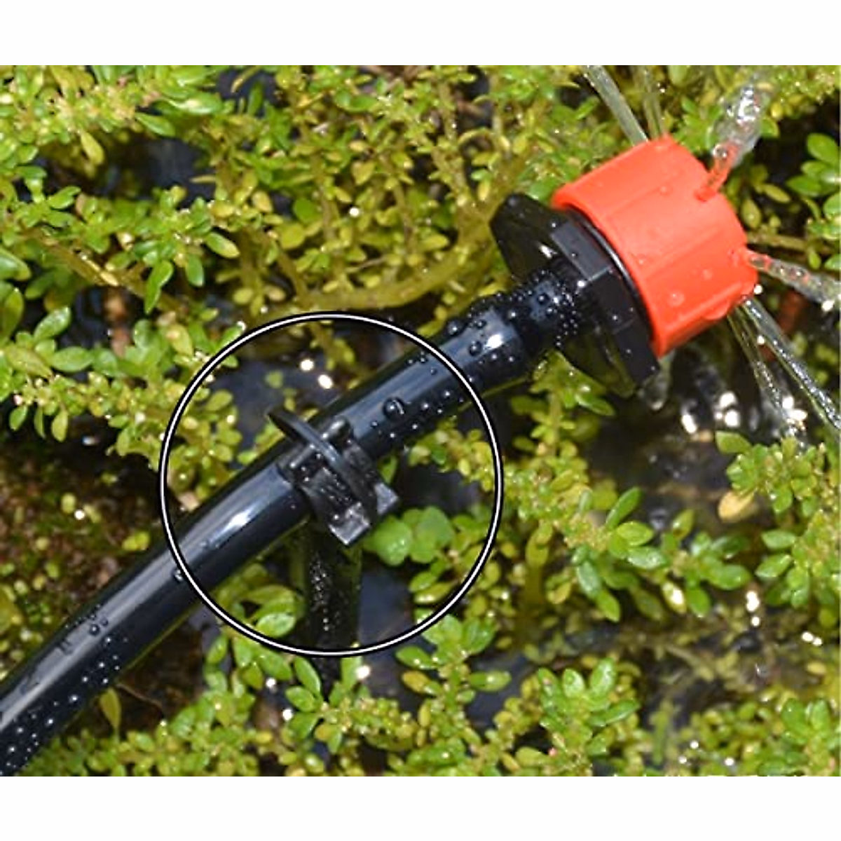 Balter-D 200 Pack Irrigation Drip Support Stakes 1/4 Inch Tubing Hose Holder