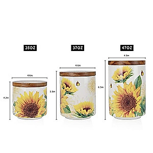 Sunddo Sunflower Ceramic Canister Sets for Kitchen Counter,Tea Coffee Sugar Canister Set with Bamboo Lid Set of 3