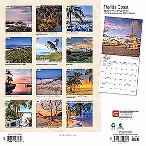 Florida Coast | 2023 12 x 24 Inch Monthly Square Wall Calendar | Foil Stamped Cover | BrownTrout | USA United States of America Southeast State Nature