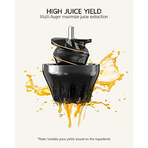 TUUMIIST Juicer Machines, Cold Press Juicer for Vegetable and Fruit with Upgraded Slow Juicing Technology, Powerful Motor and Reverse Function, Compact Size for Space-Saving Juicer, Black Gold