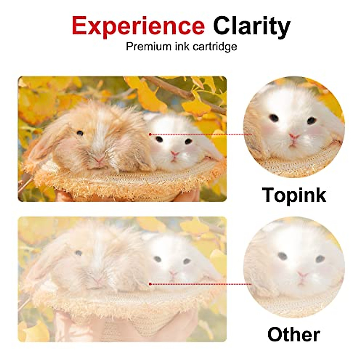 Printer Ink 245 Black XL Ink Cartridge for Canon Pixma PG-245 PG-245XL PG 245 XL PG 243 PG-243 Fine Cartridge Replacement for Cannon MX490 MX492 MG2522 TS3100 TS3122 TS3300 TS3322 TS3320 TR4520