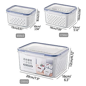 Yiser Double Layer Draining Basket Fresh Keeping Box Kitchen Supplies Sealed Box Plastic Fresh Keeping Box Refrigerator Fruit Storage Sticky Rice Basket (C, One Size)