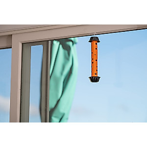 Evenu Fly Stick Trap, Sticky Catcher for Trapping Mosquitoes, Moths, Gnats and Other Flying Insects, Bugs, Pests in House, Indoor and Outdoor Use 2 Pack