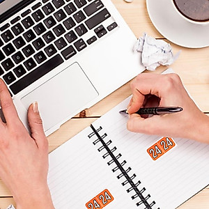 500 Pcs 2024 Year Stickers Year Labels File Folder Rectangle Colored Coding Year Stickers Self Adhesive Year Labels Tab File Folders Office Supplies, 1 Roll (Orange,0.75 x 1.52 Inch)
