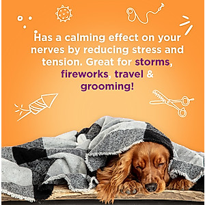 First Impressions Tranquilitreats - Calming Chews for Dogs, Anxiety Relief for Dogs - Packed with Chamomile, Ginger, Melatonin - Soft, Tasty, Chill-Out Calming Dog Treats - 60 ct